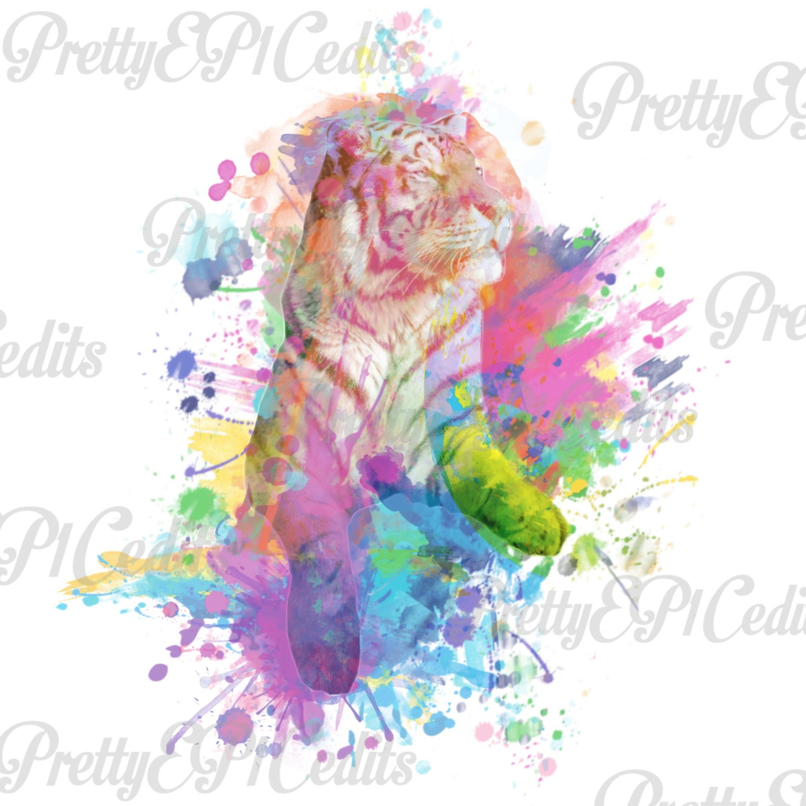 PNG Watercolor Tiger Rainbow Digital Download Clip Art - Etsy