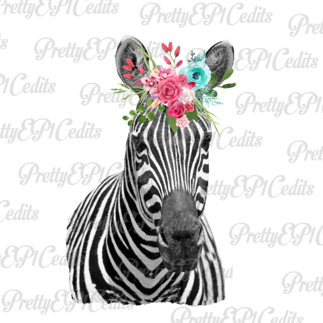 Watercolor Zebra, Pink Turquoise Flowers, Digital Download, Clip Art ...