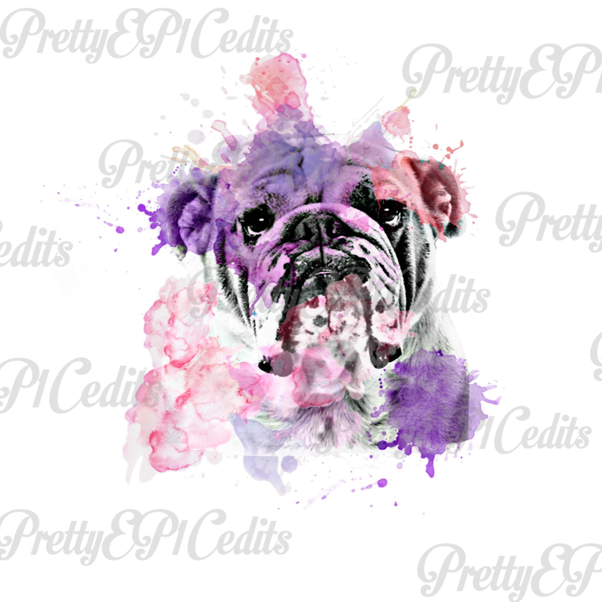 Watercolor English Bulldog Digital Download Clip Art PNG | Etsy