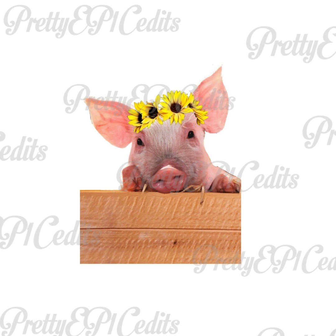 Peek a Boo Piggy, Pink Pig, Sunflowers, Watercolor, Printable Digital ...