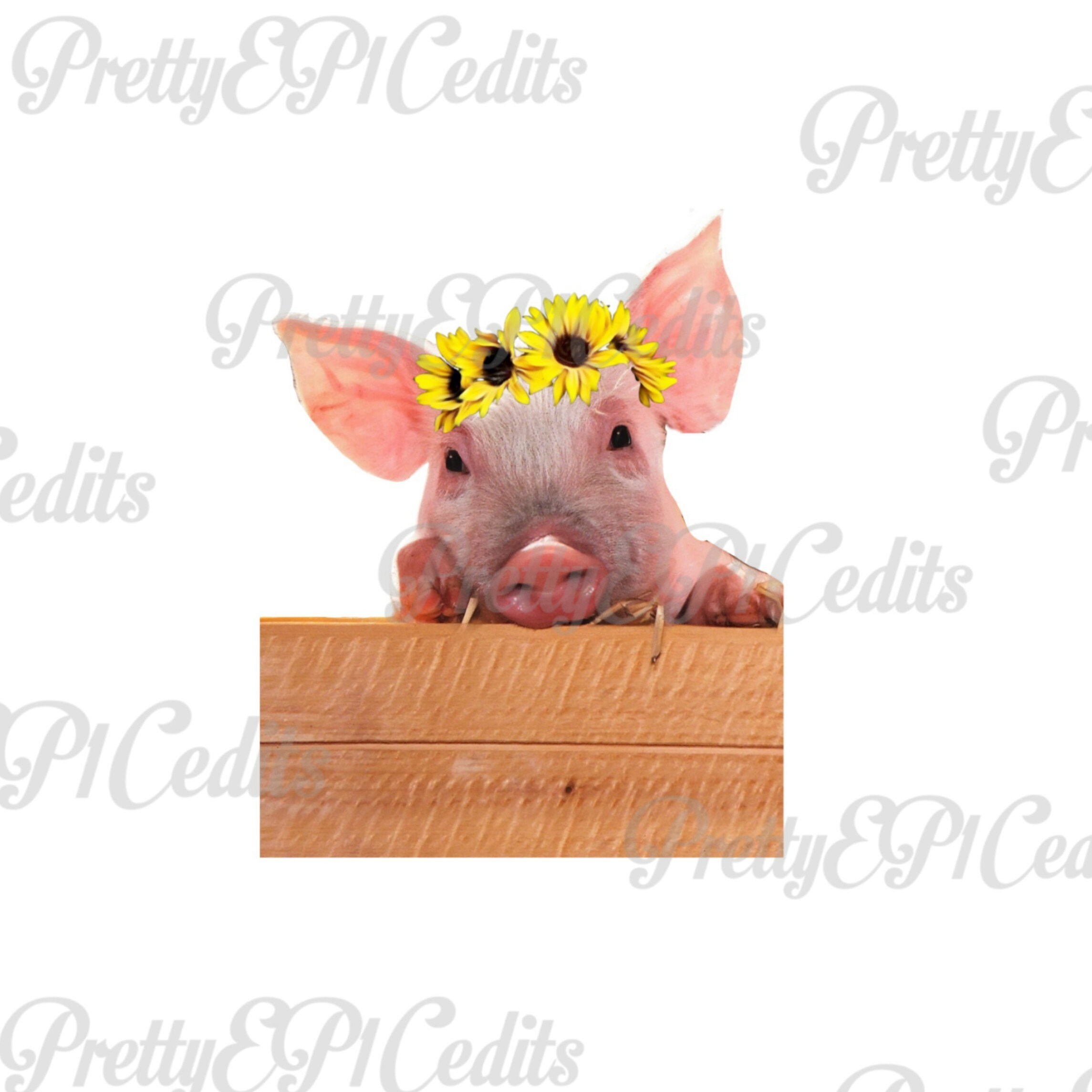 Peek a boo piggy pink pig sunflowers watercolor printable | Etsy