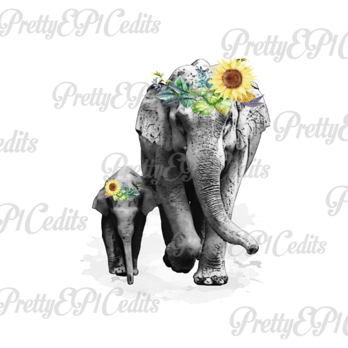 Elephant Family, Botanical Sunflower, Watercolor Elephant, Digital ...