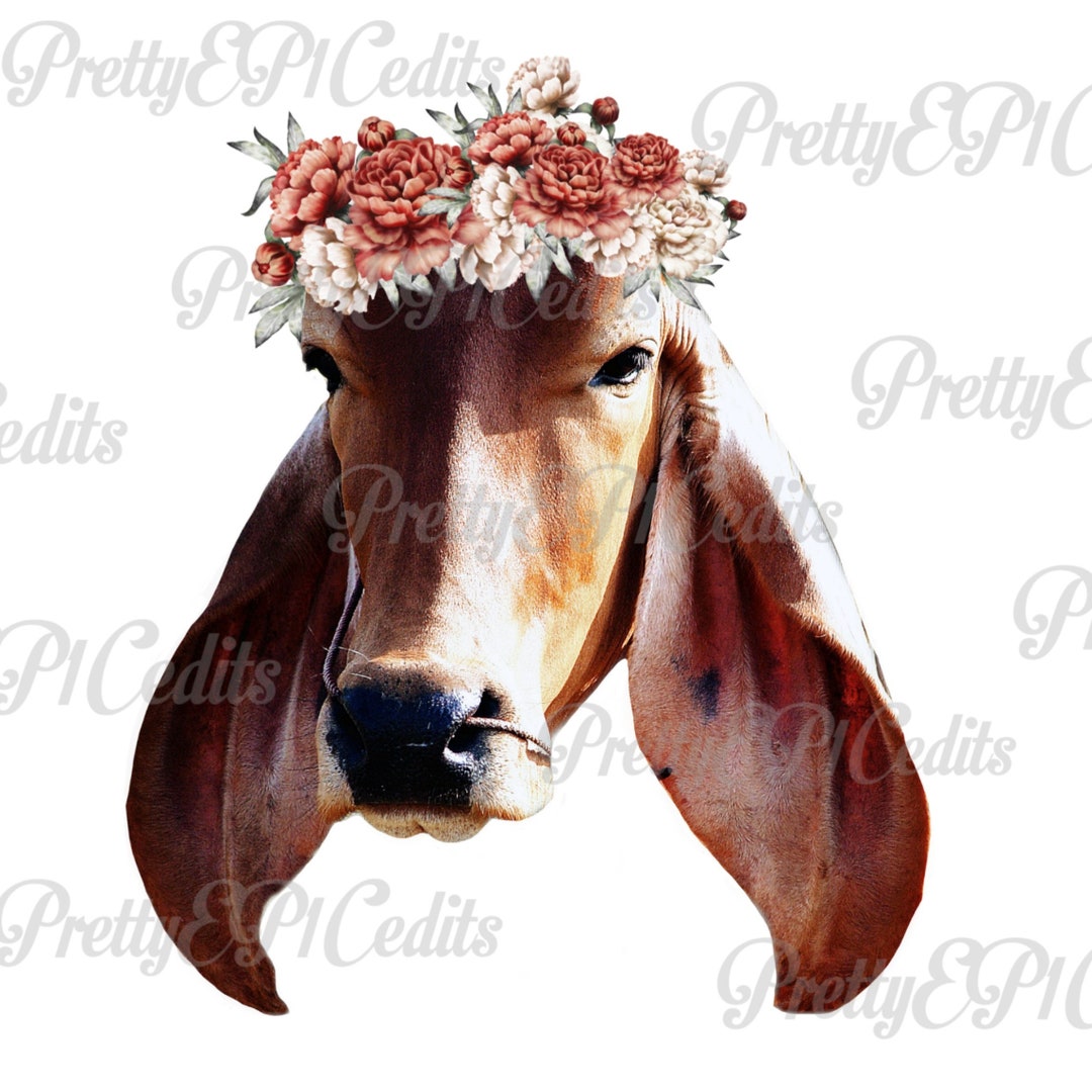 PNG Long Ear Cow, Heifer, Flower Crown, Sepia, Brown, Instant Digital ...