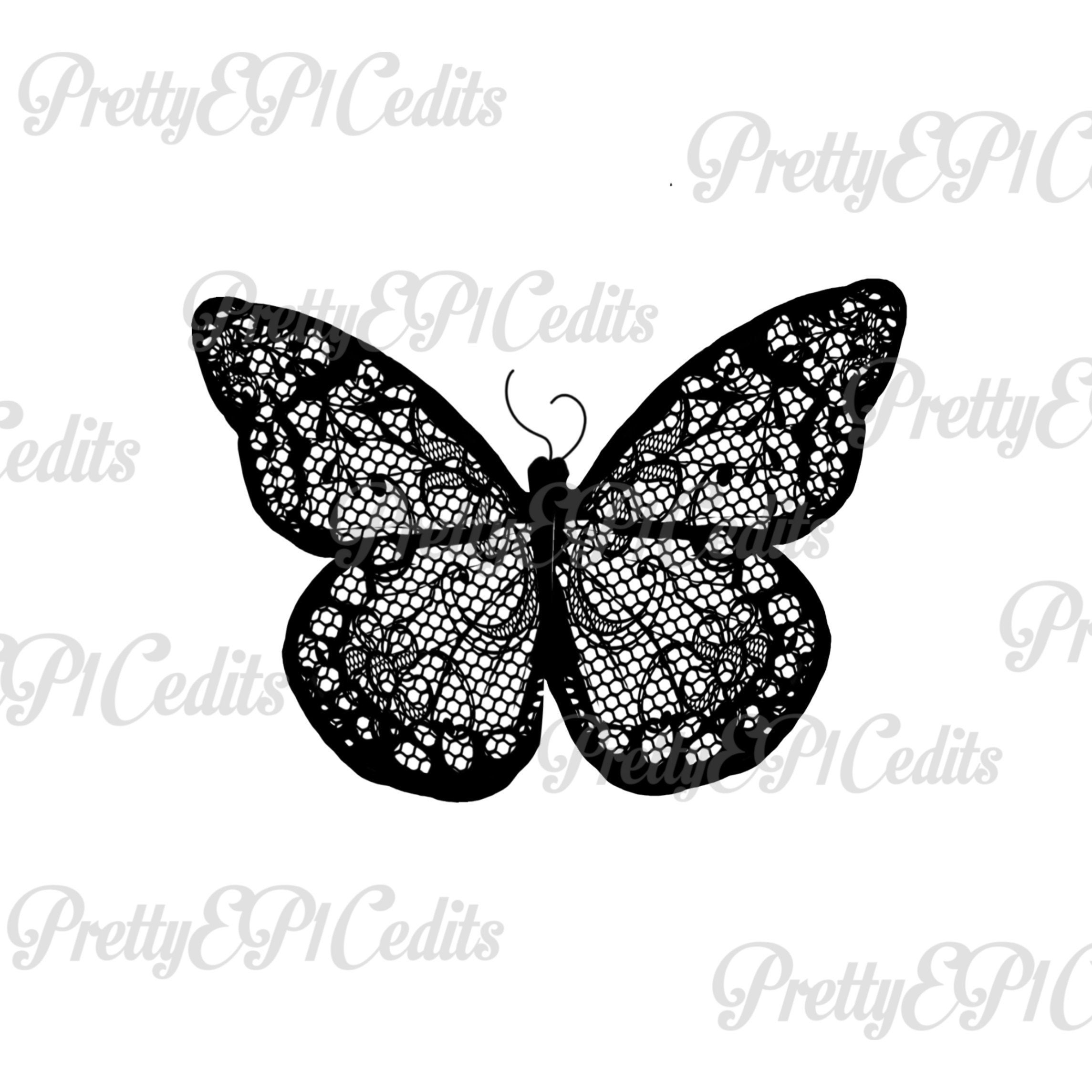 Lace Butterfly Transparent Background Digital Download Clip - Etsy
