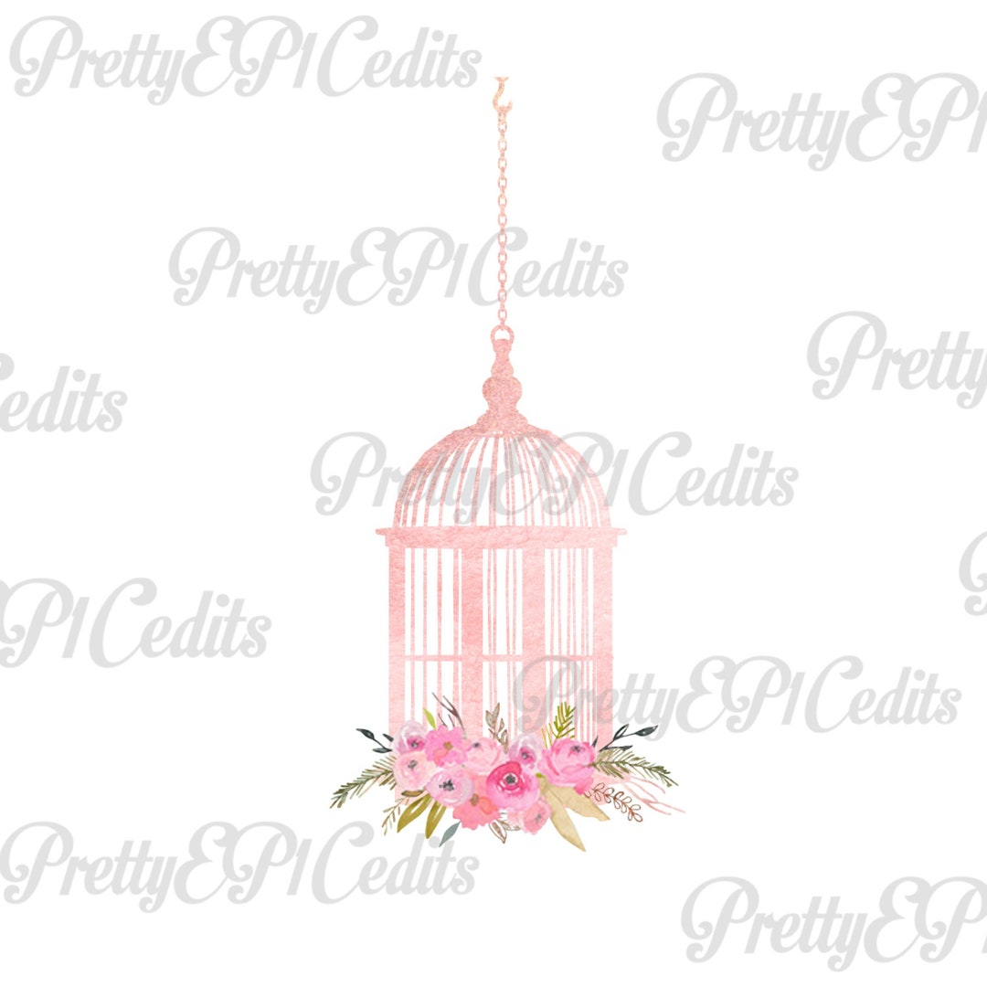 JPG Only*** Vintage Blush Pink Bird Cage With Flowers, Printable ...
