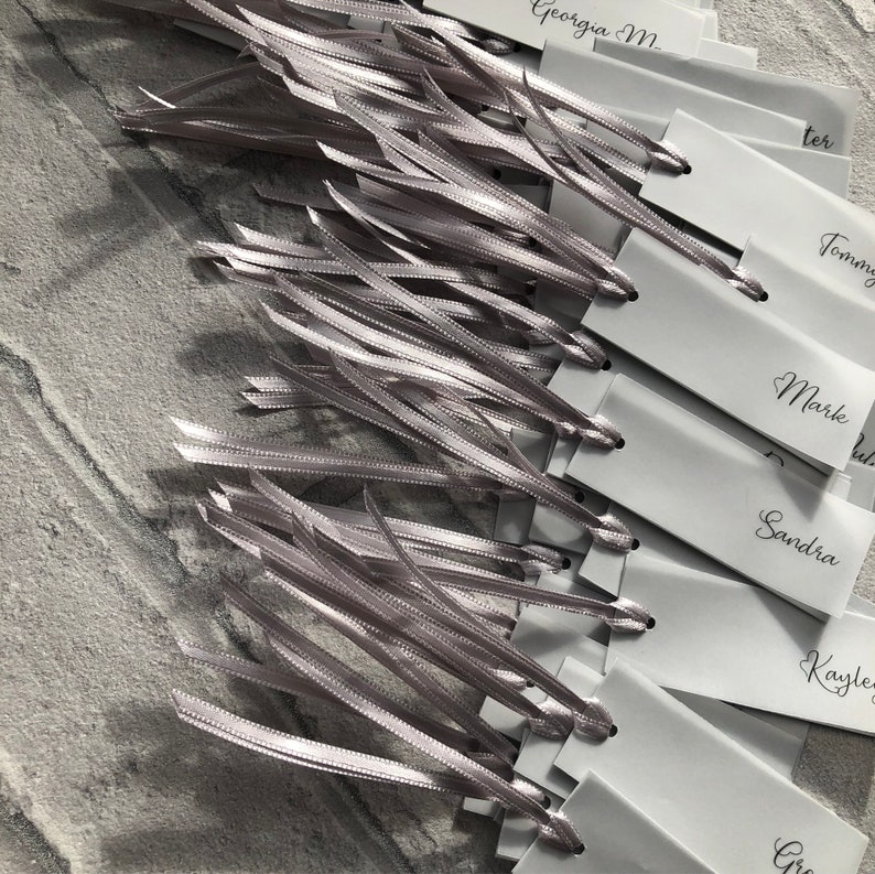 Sample Grey and Silver Wedding Name Place Cards, Vellum, Ribbon, Silver ...