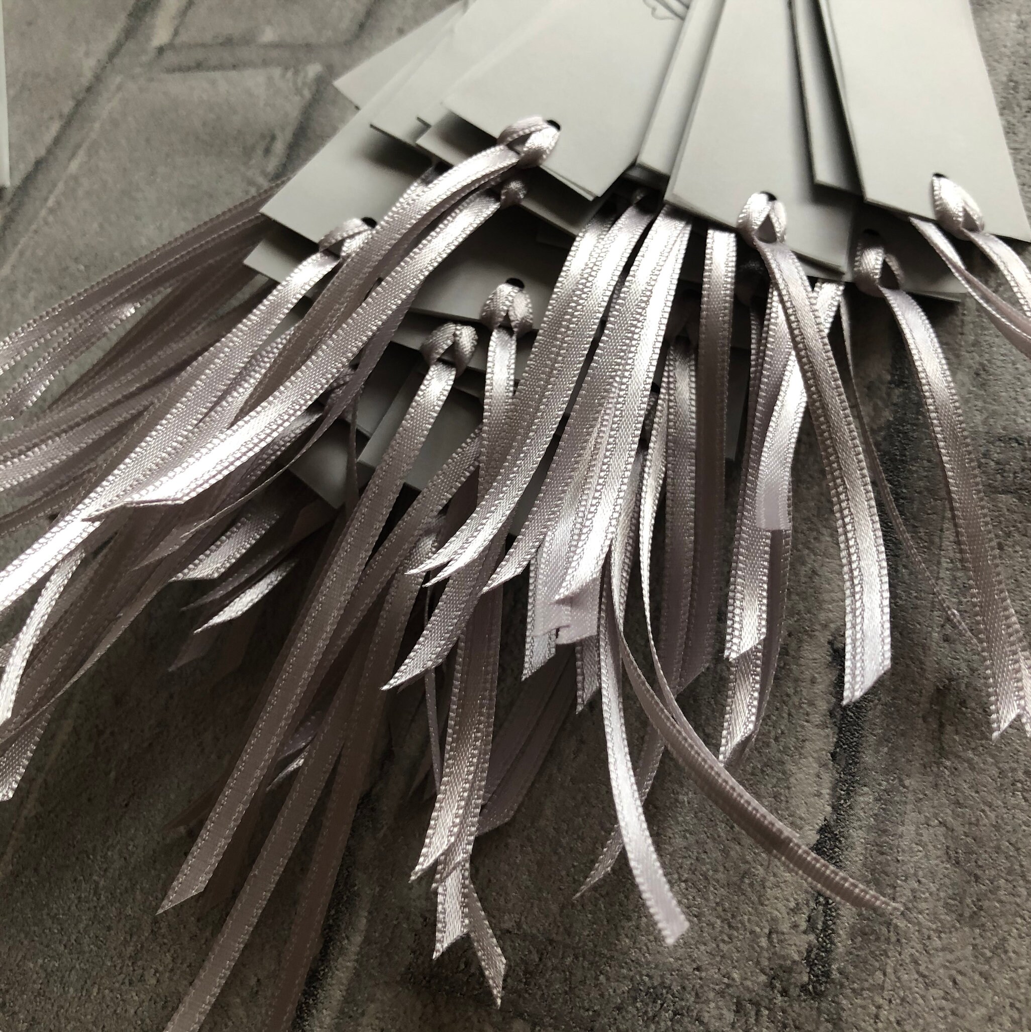 Sample Grey and Silver Wedding Name Place Cards Vellum - Etsy