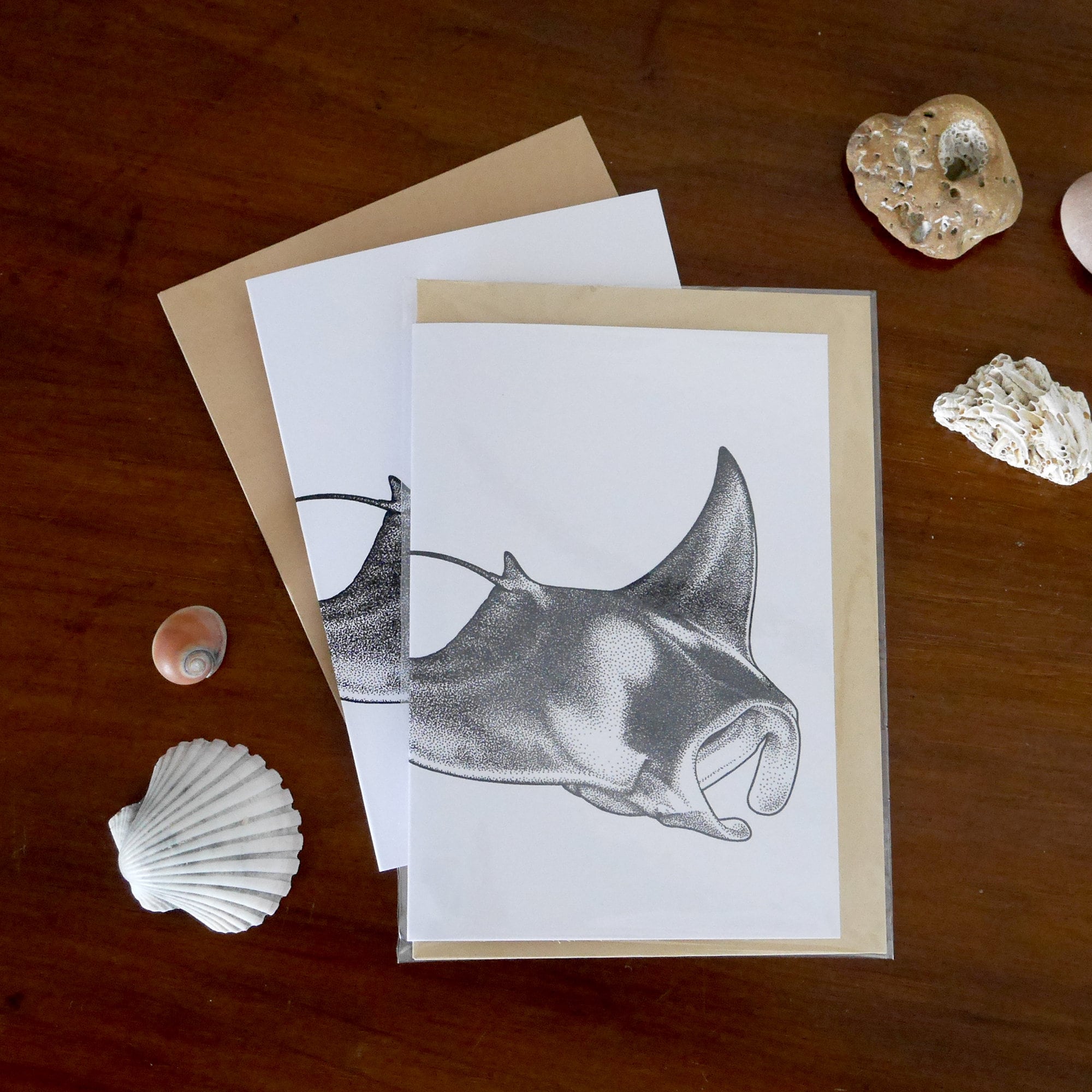 Giant Oceanic Manta Ray Blank Greeting Card With Envelope | Black and ...
