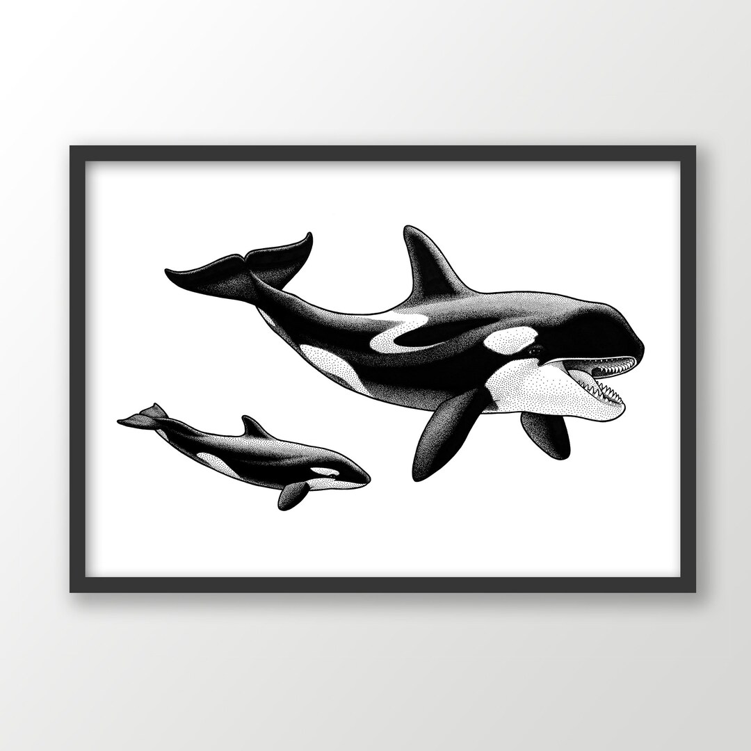 Killer Whale Art Print Black and White Orca Ocean Wall - Etsy