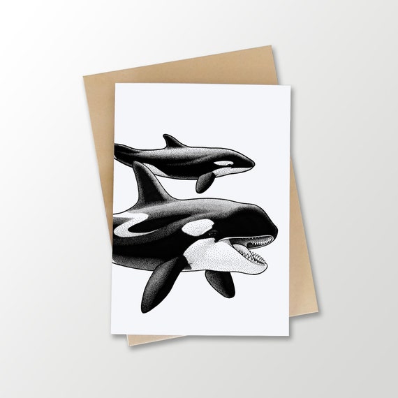 Orca blank greeting card 5.25”x5.25” square Blank Cards Paper Paper ...