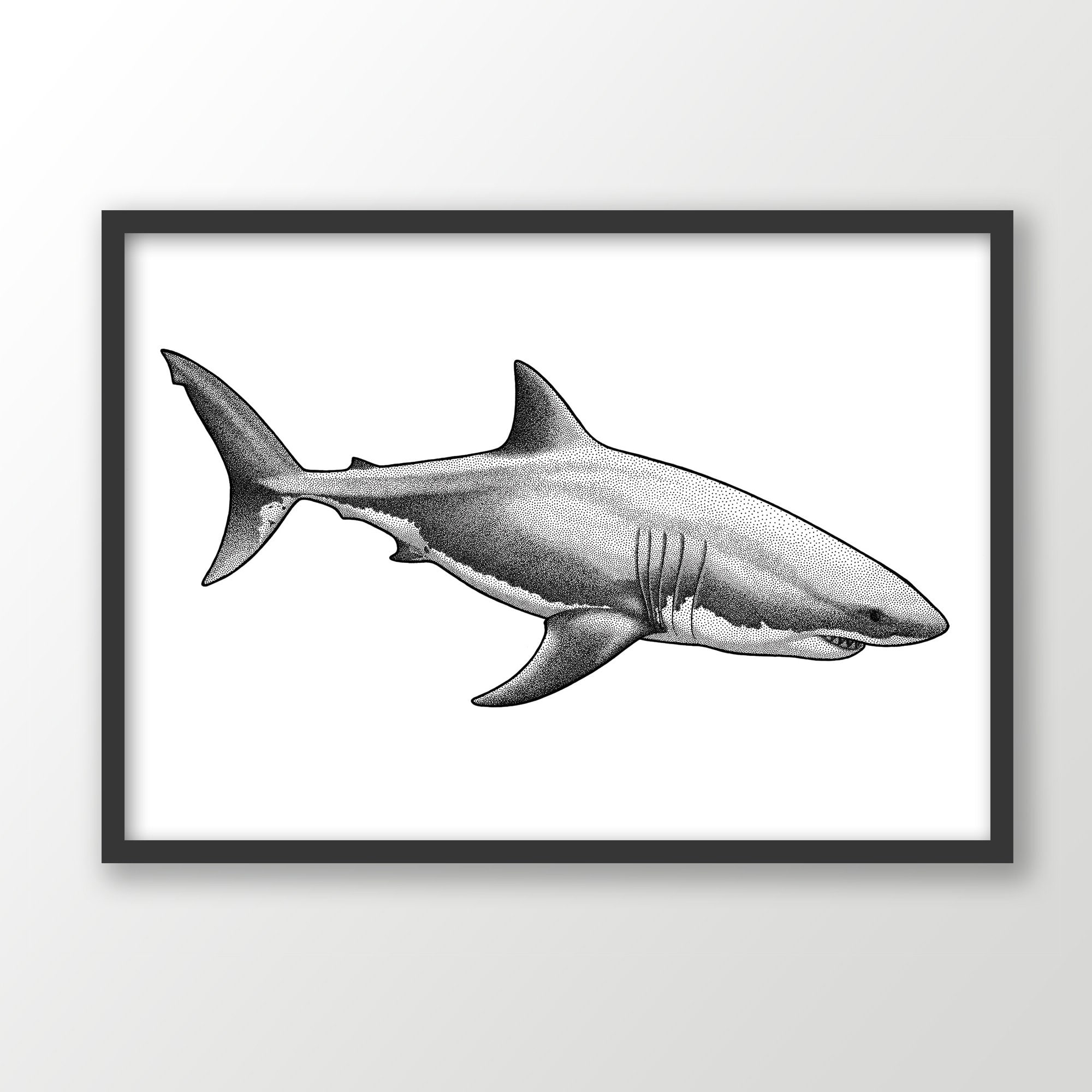 Great White Shark Art