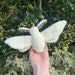 Poodle Moth Crochet Pattern ~ Amigurumi PDF Patterns ~ ENGLISH ...