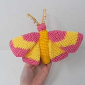 Rosy Maple Moth Crochet Pattern ~ Amigurumi PDF Patterns ~ ENGLISH ...
