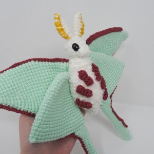 Luna Moth Crochet Pattern ~ Amigurumi PDF Patterns ~ ENGLISH Instructions Only - Etsy
