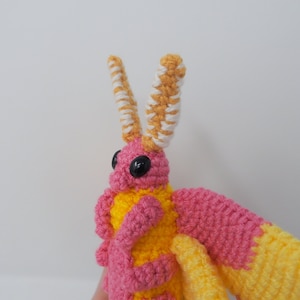 Rosy Maple Moth Crochet Pattern ~ Amigurumi PDF Patterns ~ ENGLISH ...