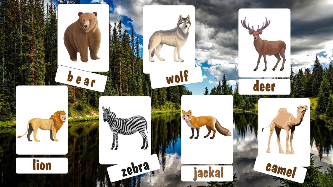 WILD ANIMALS Flash Cards - Four Part Cards - Montessori Cards - Label ...