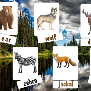 WILD ANIMALS Flash Cards - Four Part Cards - Montessori Cards - Label ...