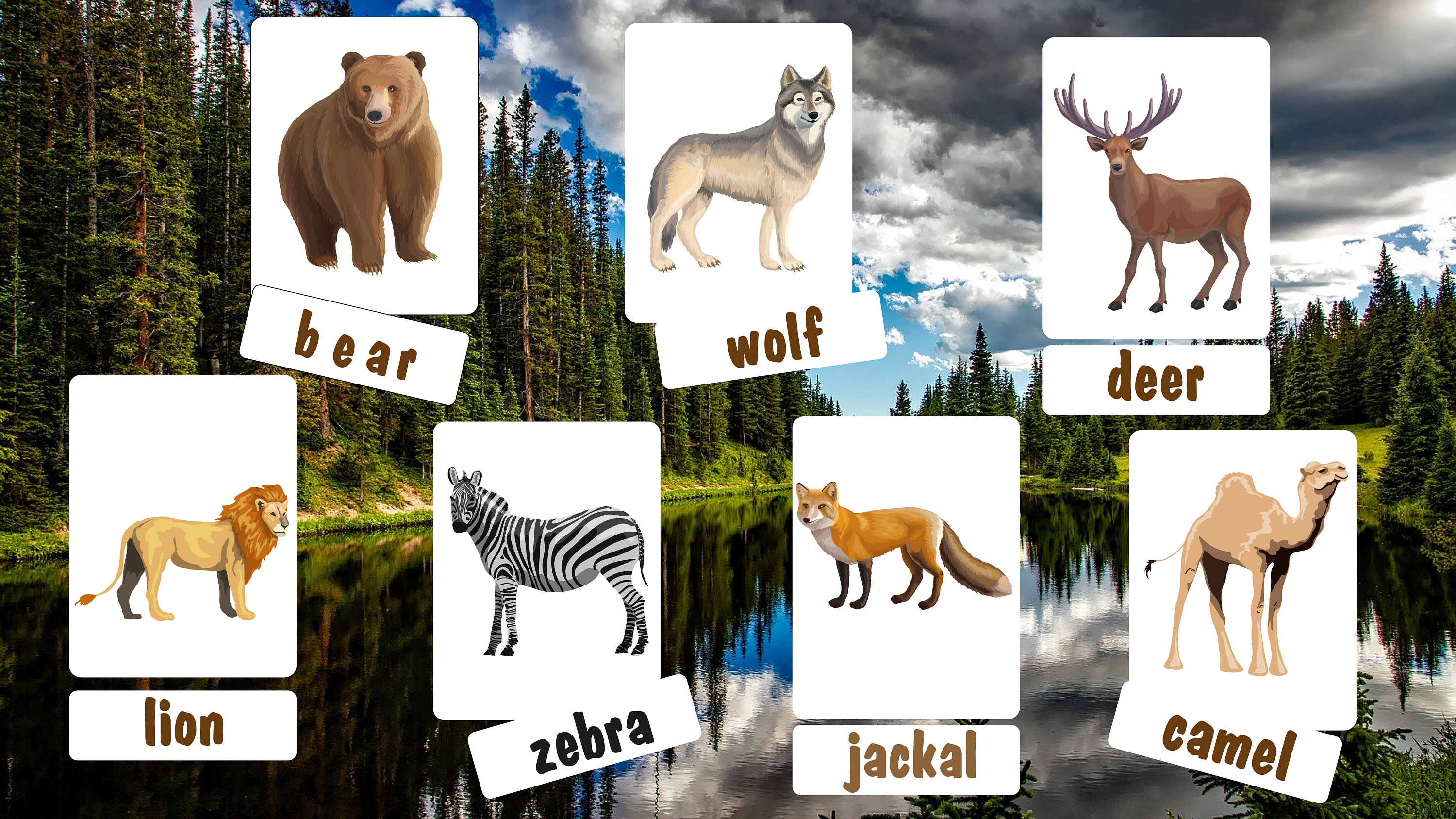 WILD ANIMALS Flash Cards - Four Part Cards - Montessori Cards - Label ...
