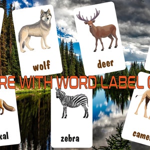 WILD ANIMALS Flash Cards - Four Part Cards - Montessori Cards - Label ...