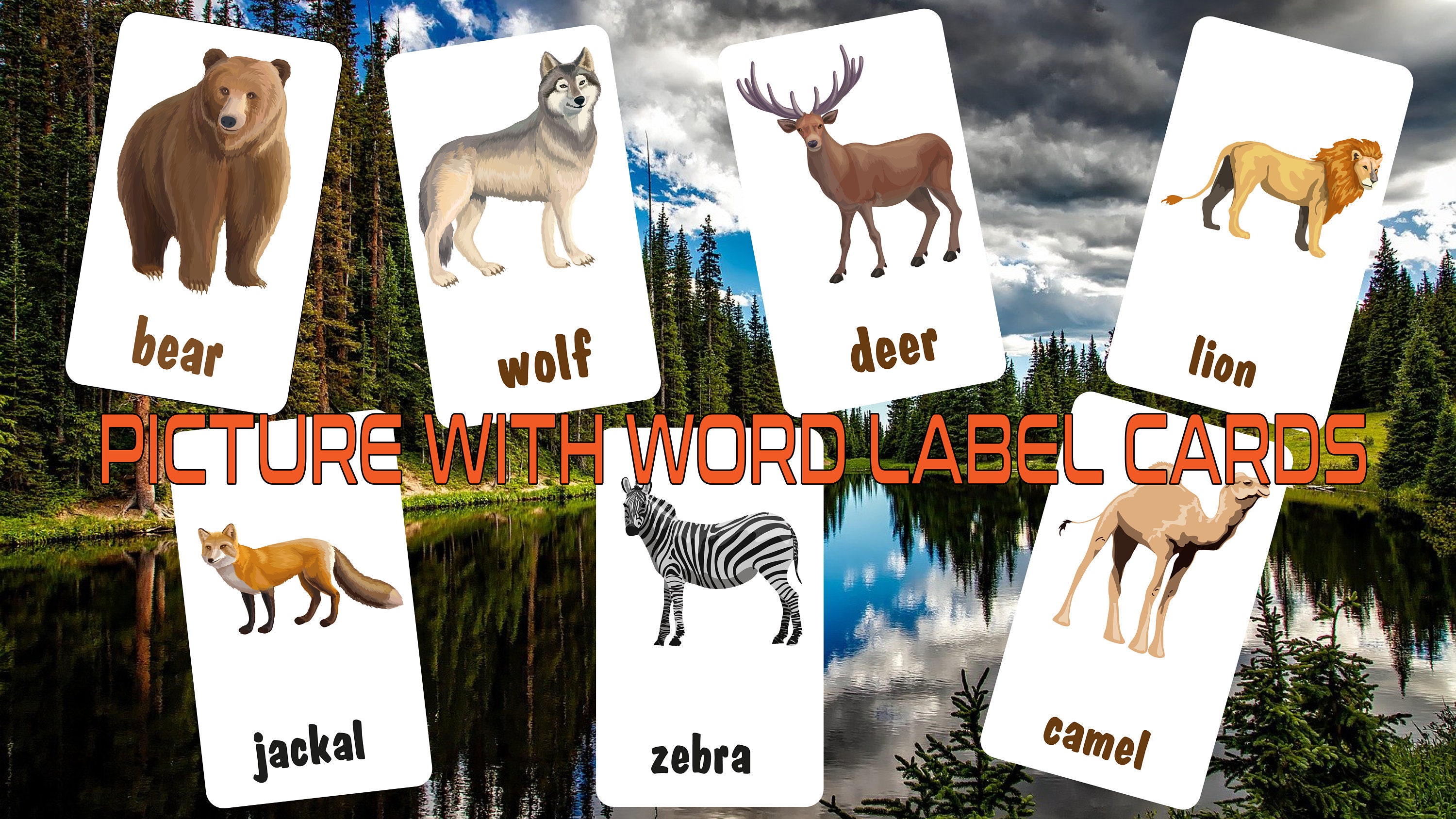 WILD ANIMALS Flash Cards - Four Part Cards - Montessori Cards - Label ...