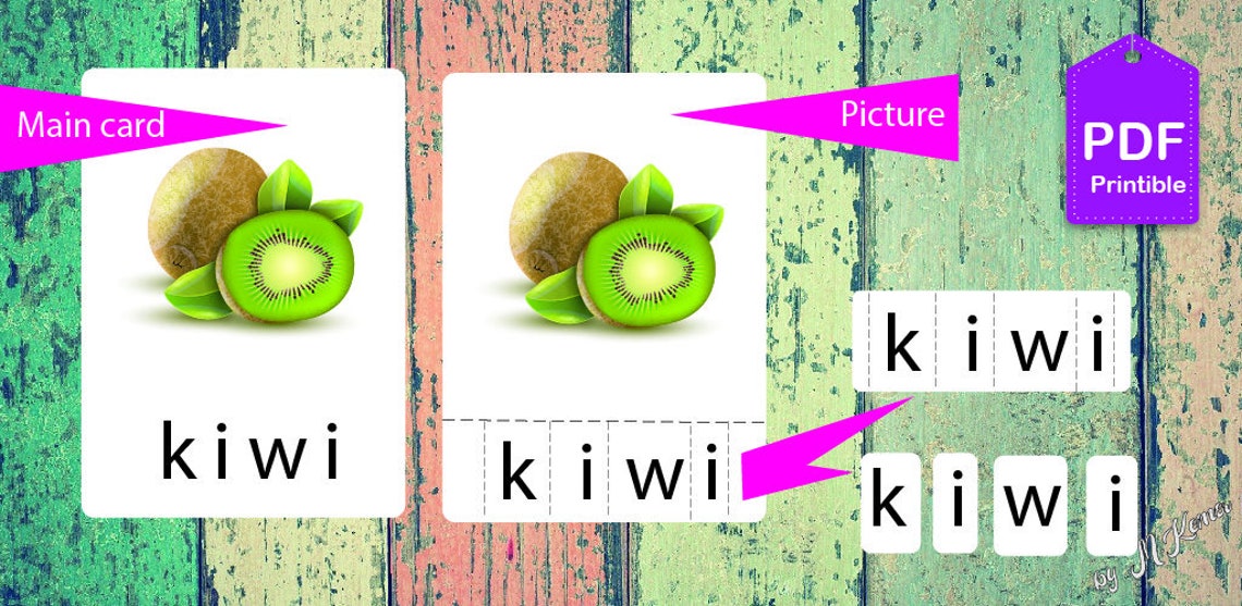 FRUIT FLASH CARDS - Four Part Cards - Montessori Cards - Label or ...
