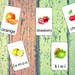 FRUIT FLASH CARDS - Four Part Cards - Montessori Cards - Label or ...