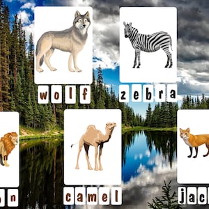 WILD ANIMALS Flash Cards - Four Part Cards - Montessori Cards - Label ...