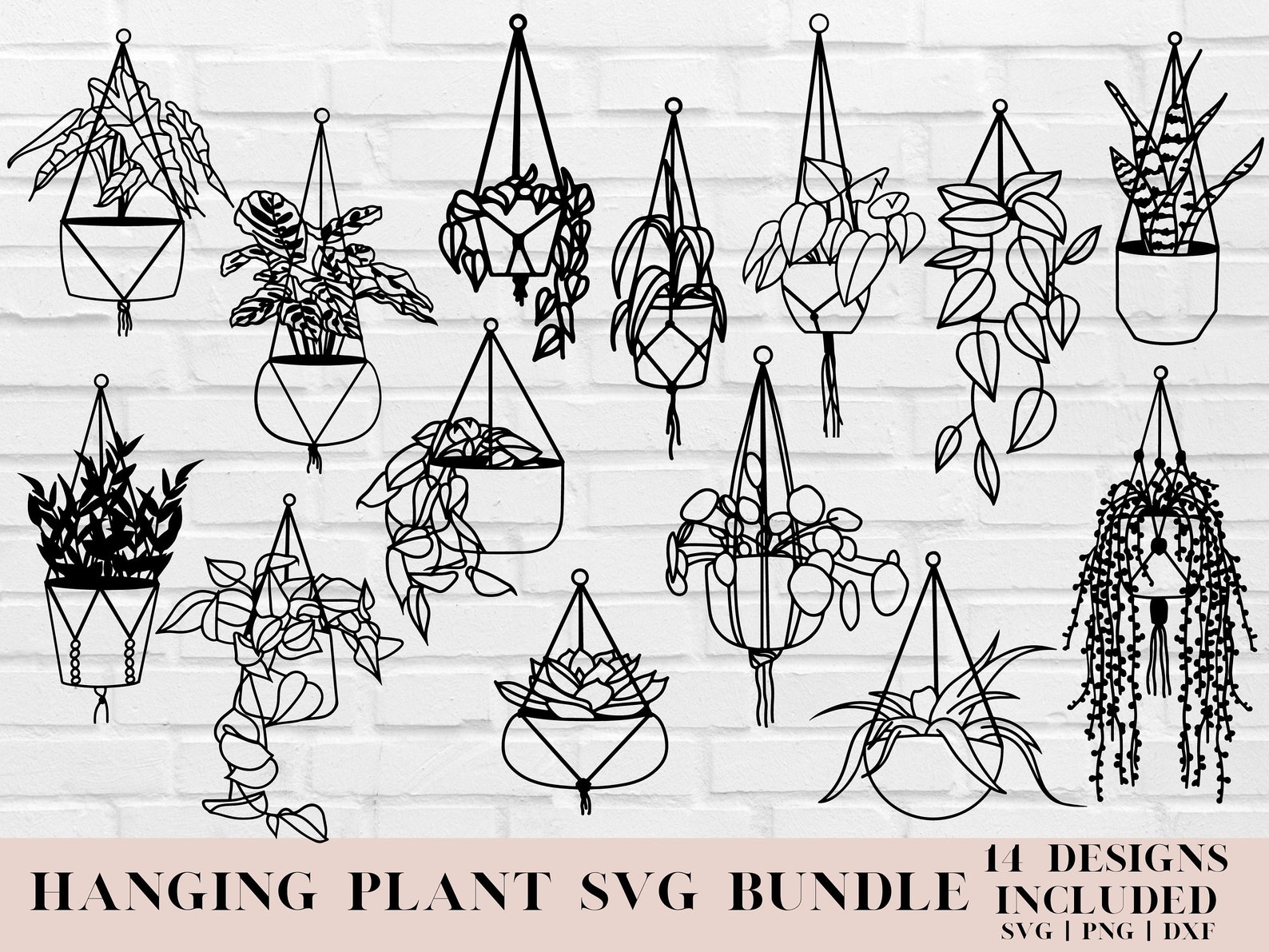 Hanging Plant SVG Bundle Plant SVG Bundle Houseplant Svg - Etsy Canada