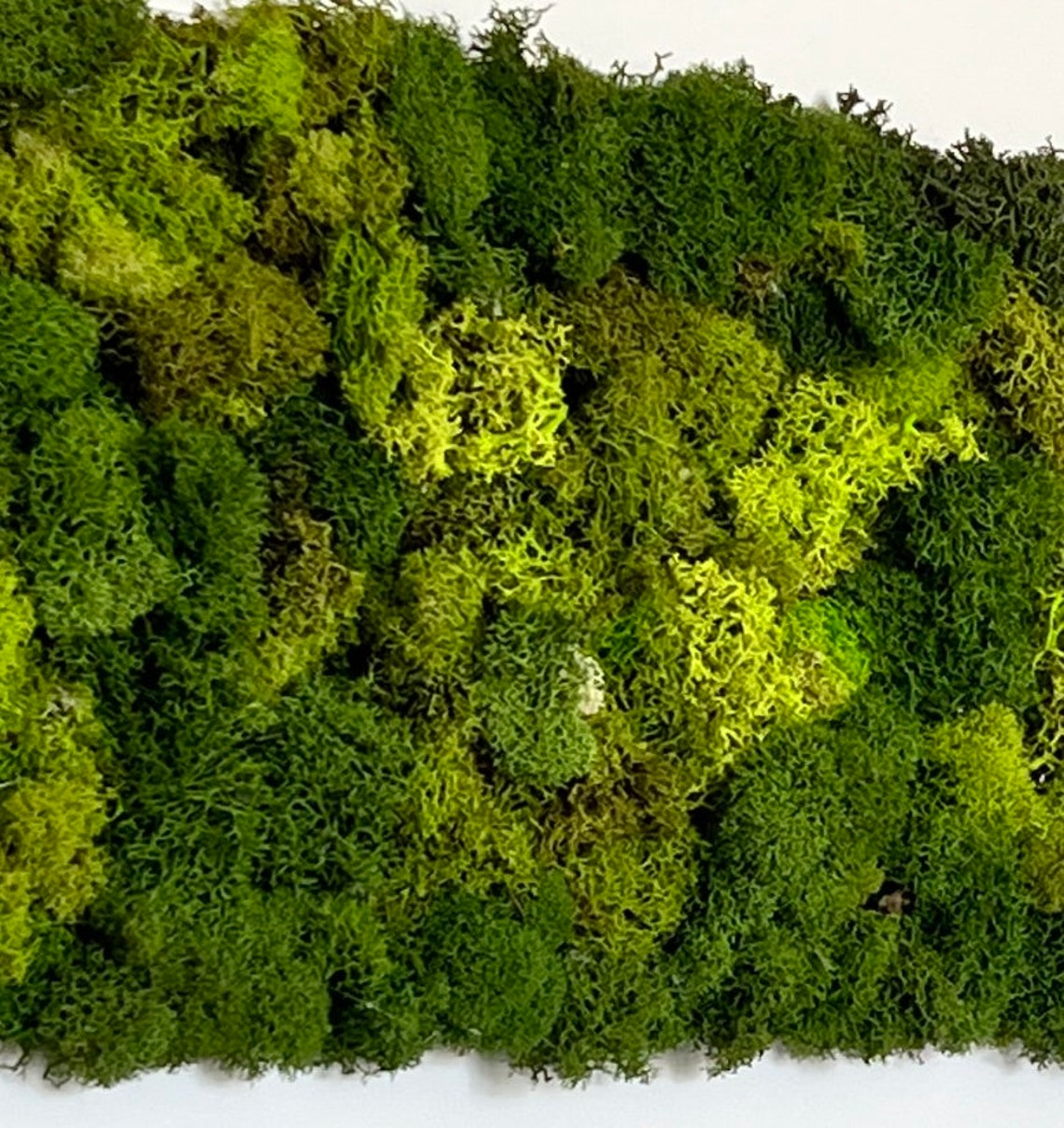 Unique Moss Wall Art Moss Wall Art Frames Black 36 X - Etsy
