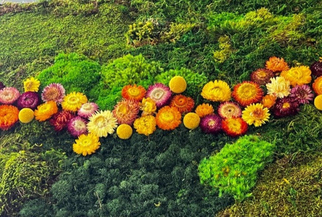 Unique Moss Wall Art Plant Wall Art floral Moss Wall Preserved Moss Art ...