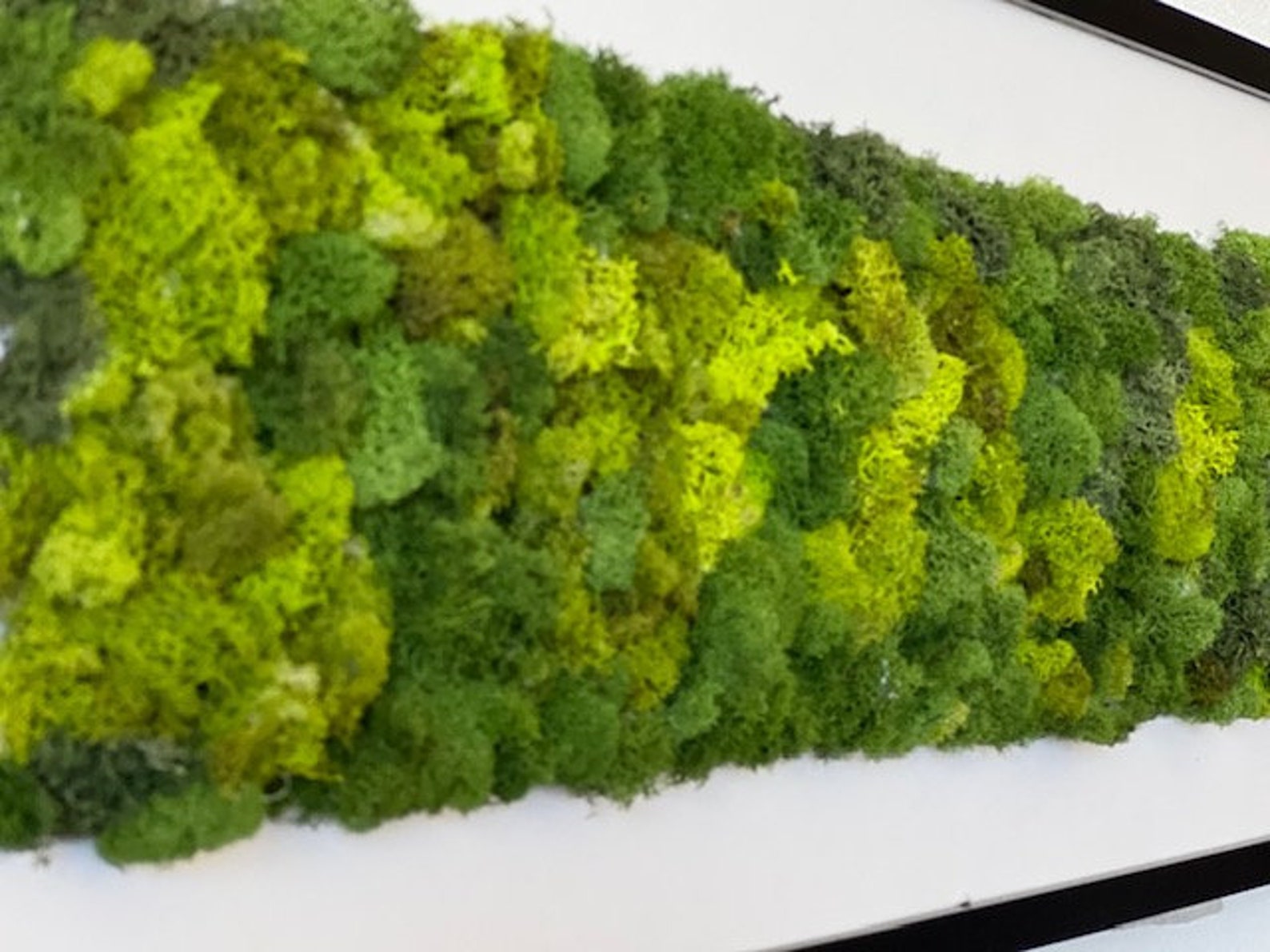 Unique Moss Wall Art Moss Wall Art Frames Black 36 X - Etsy
