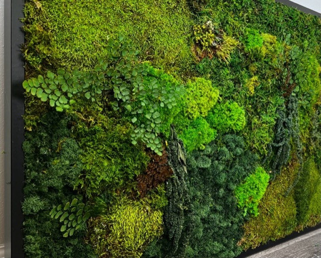 Unique Moss Wall Art Customize moss Art Preserved Living - Etsy