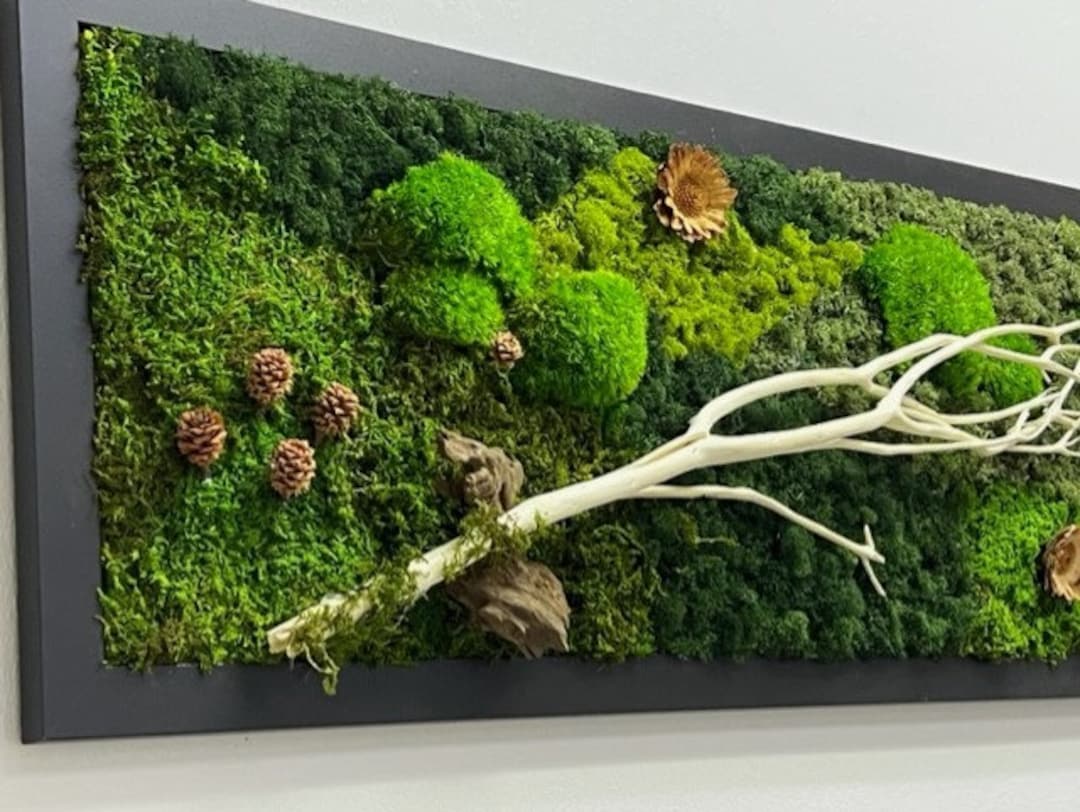 Unique Moss Wall Art Moss Wall Art Framed Wood Artwork Preserved Live ...