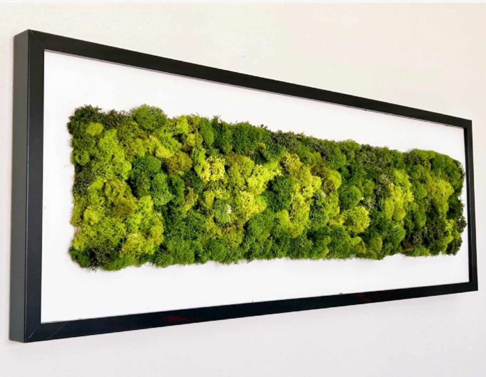Unique Moss Wall Art Moss Wall Art Framed Black 36 X - Etsy