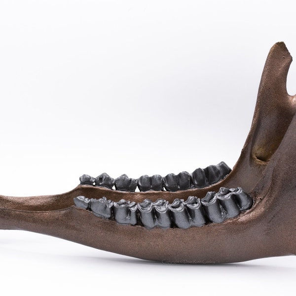 Metal Jaw Mask - Etsy