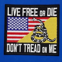 Defiant 1776 Skull Patch - Etsy