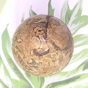 Stone Fossil Egg Hand Carved and Polished With Stand 3" - Etsy