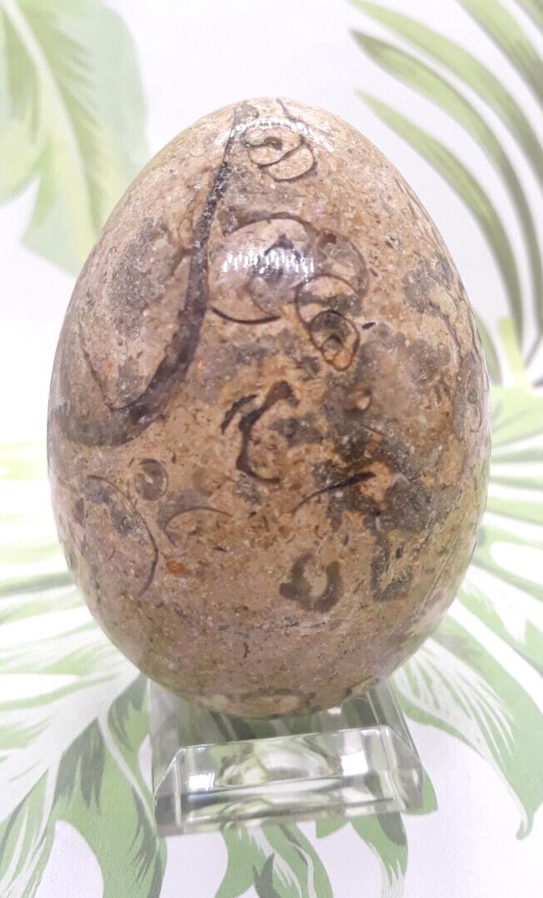 Stone Fossil Egg Hand Carved and Polished With Stand 3" - Etsy