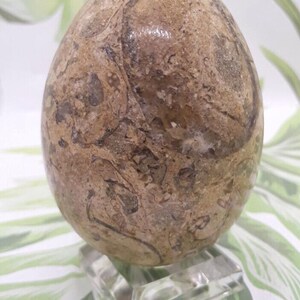 Stone Fossil Egg Hand Carved and Polished With Stand 3" - Etsy