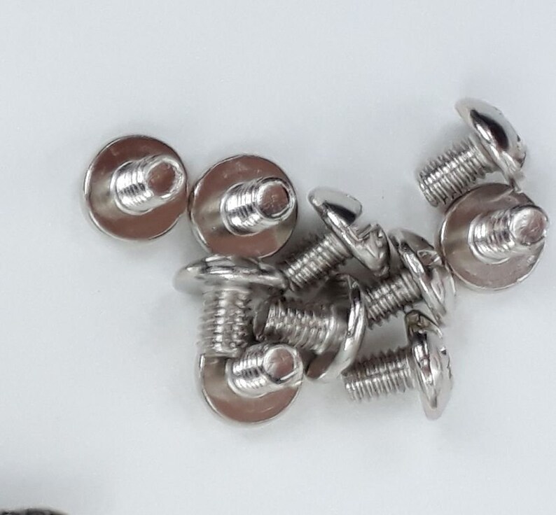 Tree Frog Conchos / Concho 5 Count With Mounting Screws | Etsy