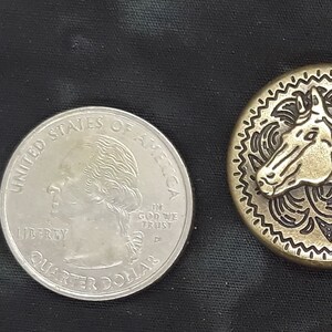 Horse Head Western Style Concho / Conchos 1 Five Count Bronze - Etsy
