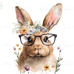 Cute Bunny With Glasses Clipart Bundle - 15 High Quality Watercolor ...