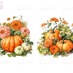 Pumpkin Clipart Bundle - 15 High Quality Watercolor - Autumn Harvest ...