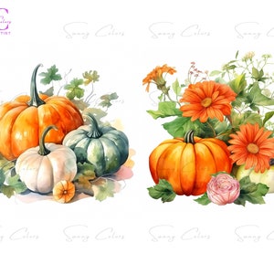 Pumpkin Clipart Bundle - 15 High Quality Watercolor - Autumn Harvest ...