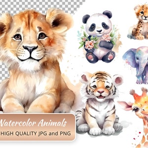 Baby Animals Clipart PNG Bundle 15 Transparent Watercolor - Etsy