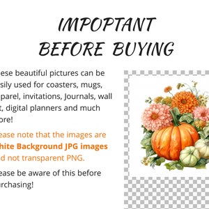 Pumpkin Clipart Bundle - 15 High Quality Watercolor - Autumn Harvest ...