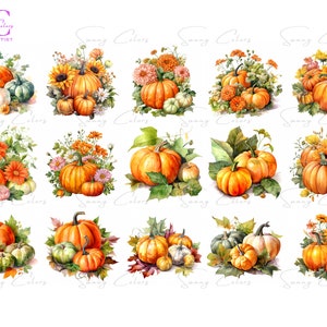 Pumpkin Clipart Bundle - 15 High Quality Watercolor - Autumn Harvest ...
