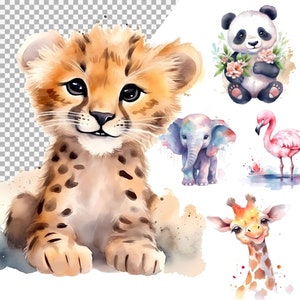 Baby Animals Clipart PNG Bundle - 15 Transparent Watercolor Animal ...