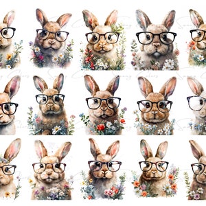 Cute Bunny With Glasses Clipart Bundle - 15 High Quality Watercolor ...