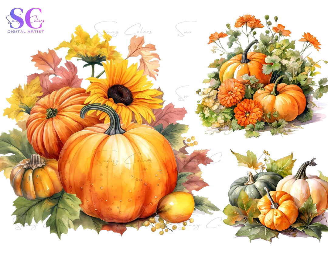 Pumpkin Clipart Bundle - 15 High Quality Watercolor - Autumn Harvest ...